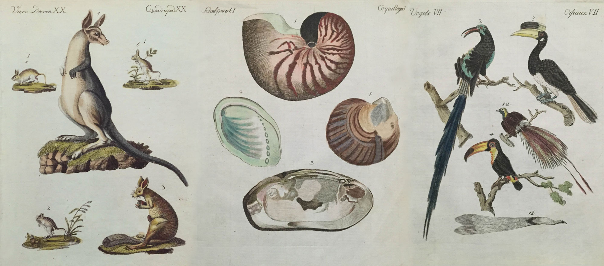 Rare Antique Maps and Prints of Indonesia | Bartele Gallery Bartele ...